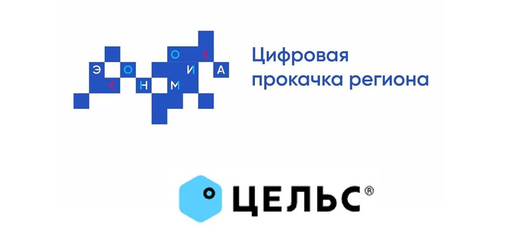 Цельс представил региональные практики на сессии «Цифровая прокачка региона» в Якутии